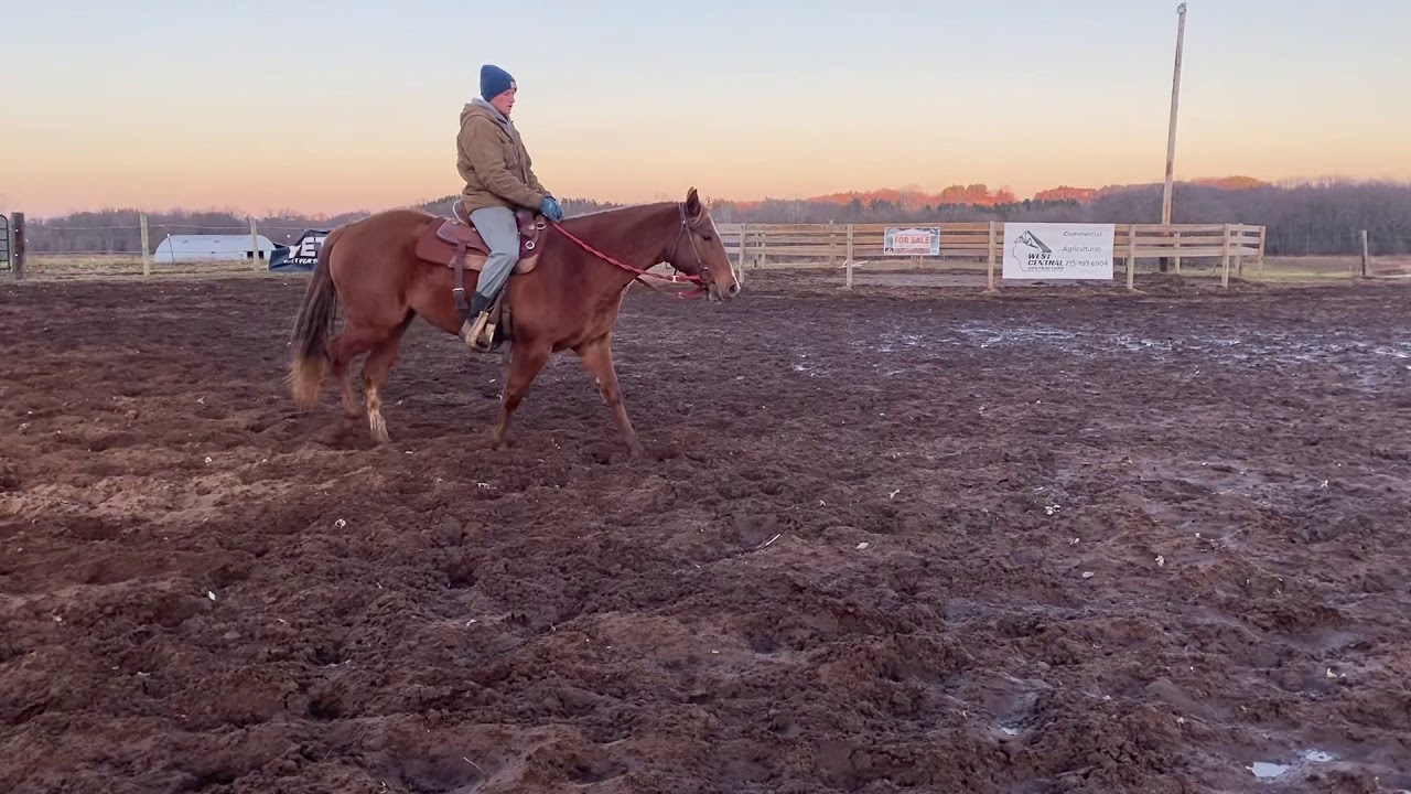Vada 2 year old mud/arena - YouTube