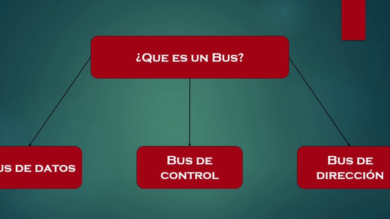 Tipos de buses - YouTube