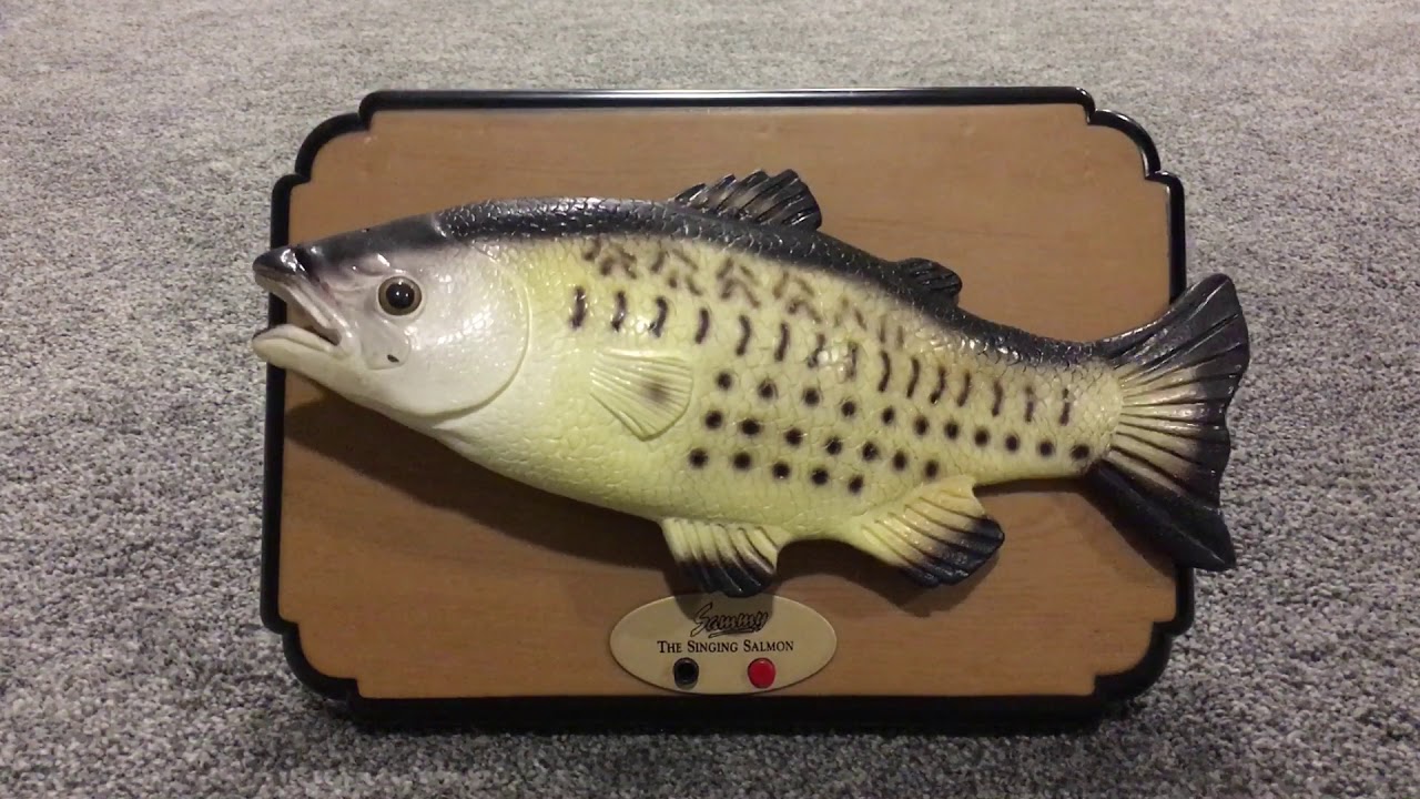 Sammy the singing salmon - YouTube