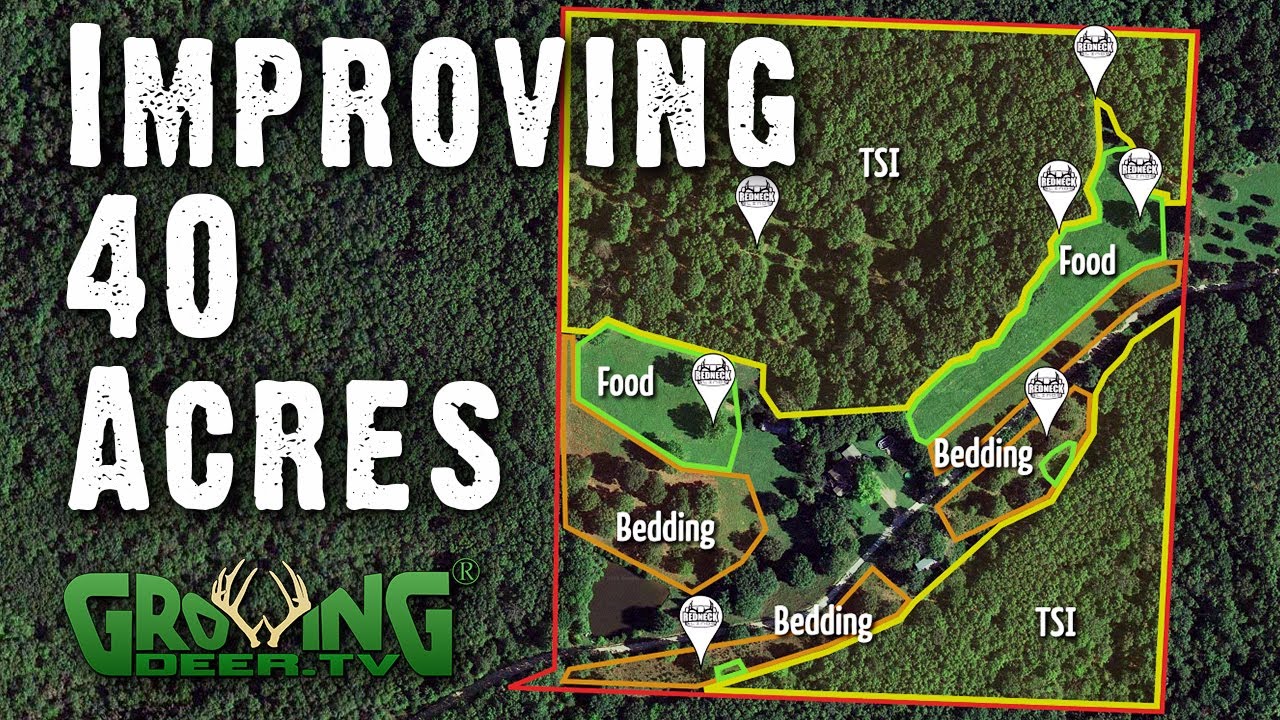 Great Hunting Coming Soon To This 40 Acres @GrowingDeerTV (641) - YouTube