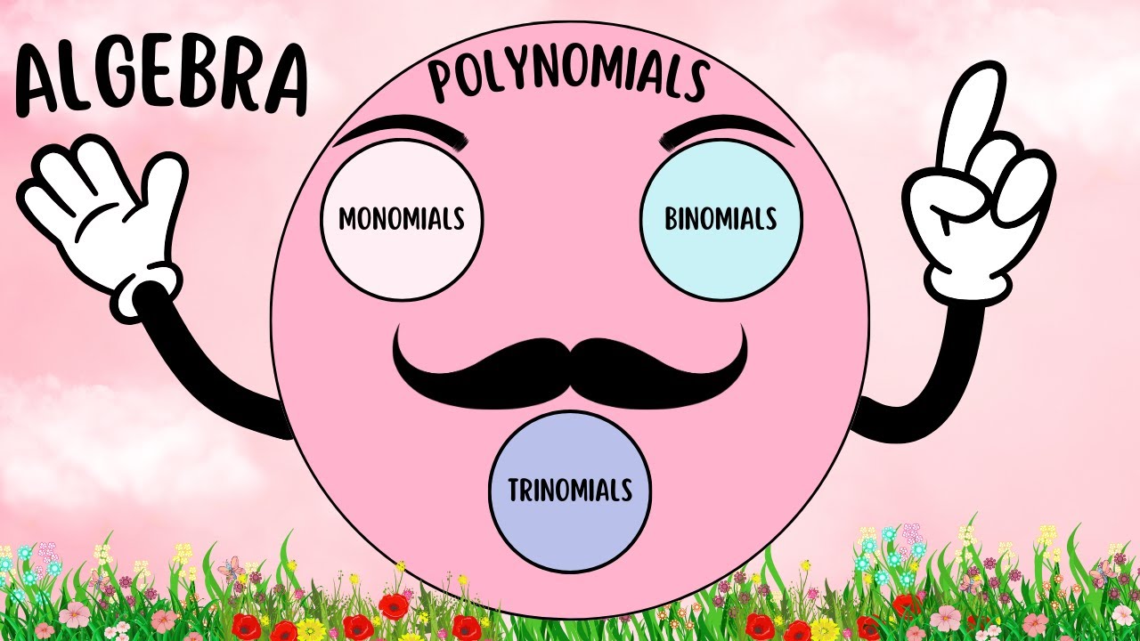Polynomials - Classifying Algebraic Expressions as Monomials, Binomials ...
