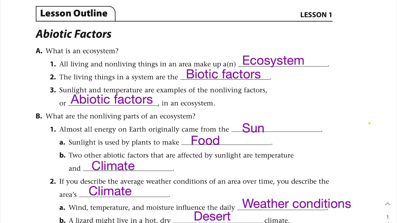 Chapter 8 lesson 1 outline notes - YouTube