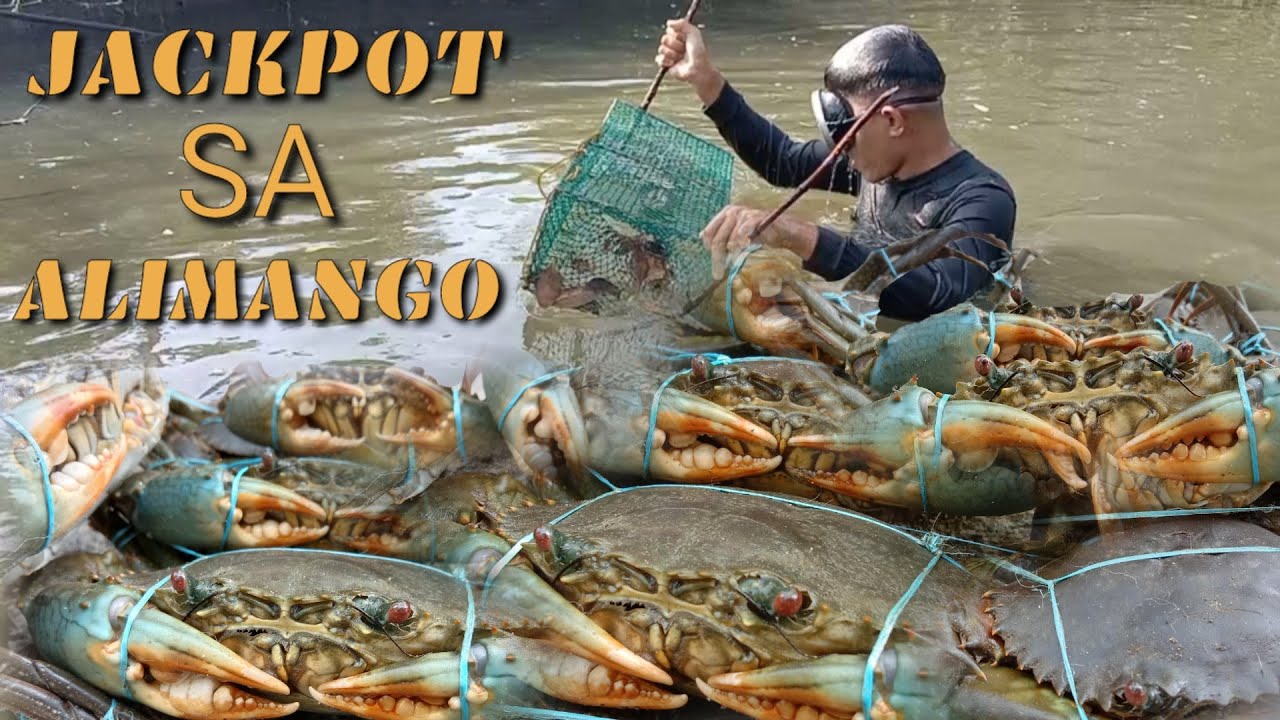CATCHING MUD CRAB/ Ayos Ang HULI Namin sa ilog - YouTube