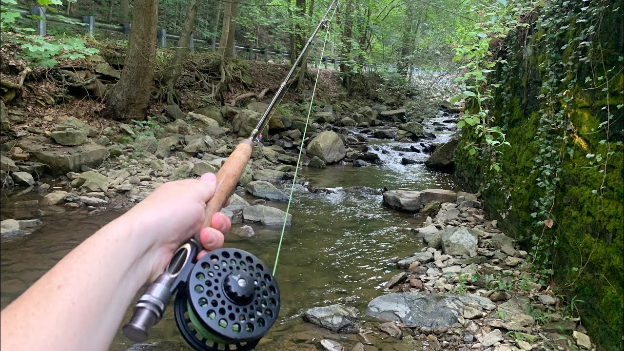1 Year YouTube Anniversary! Small Stream Fly Fishing for Trout - YouTube
