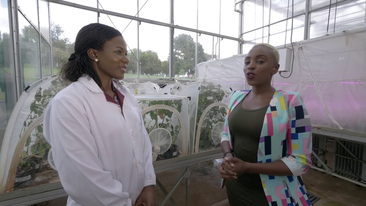 Transforming African food systems through bioscience - YouTube