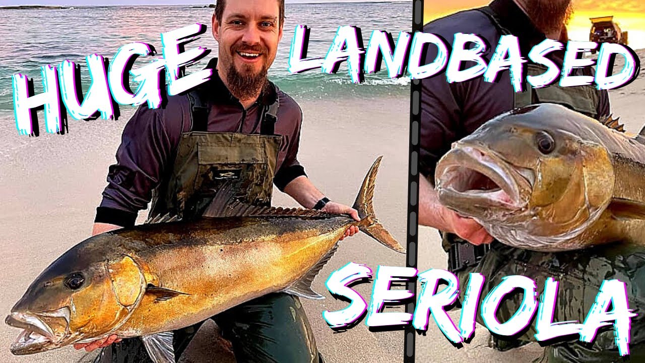 HUGE SAMBO From Peaceful Bay - YouTube