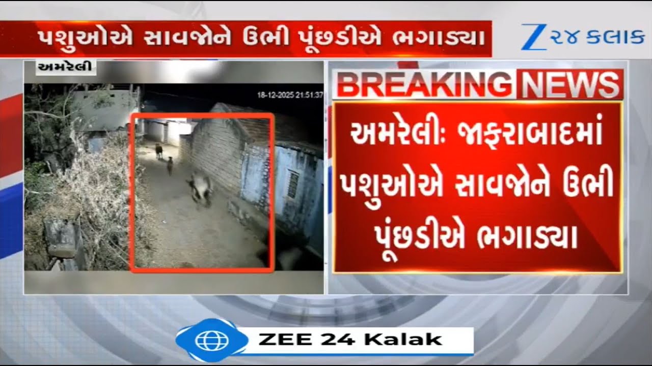 Rare Sight: Lion chased away by cattle at Mota Agariya village of ...