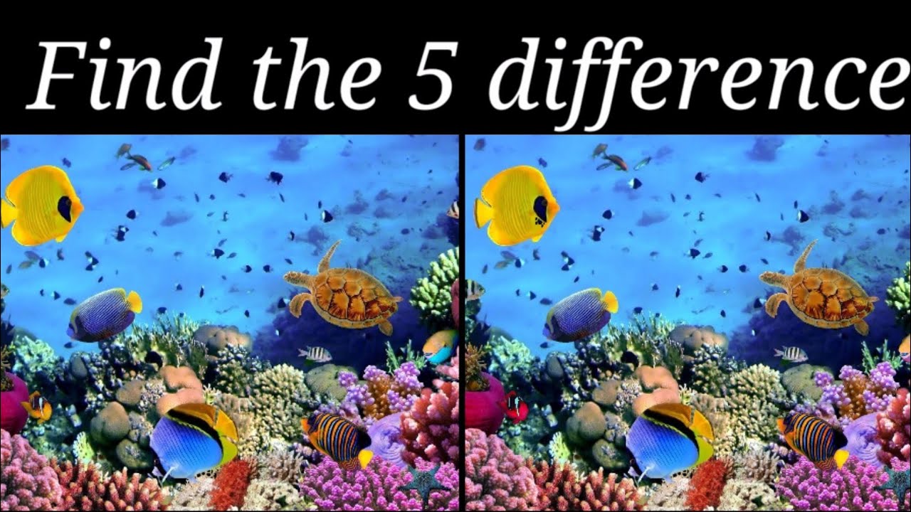 Find the 5 difference games level 191 to 195 - YouTube