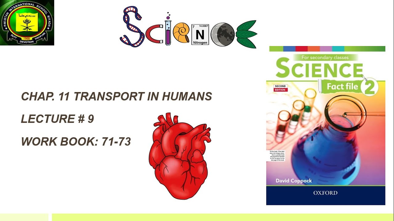 fact file 2 chapter# 11 transport in humans work book exercise - YouTube