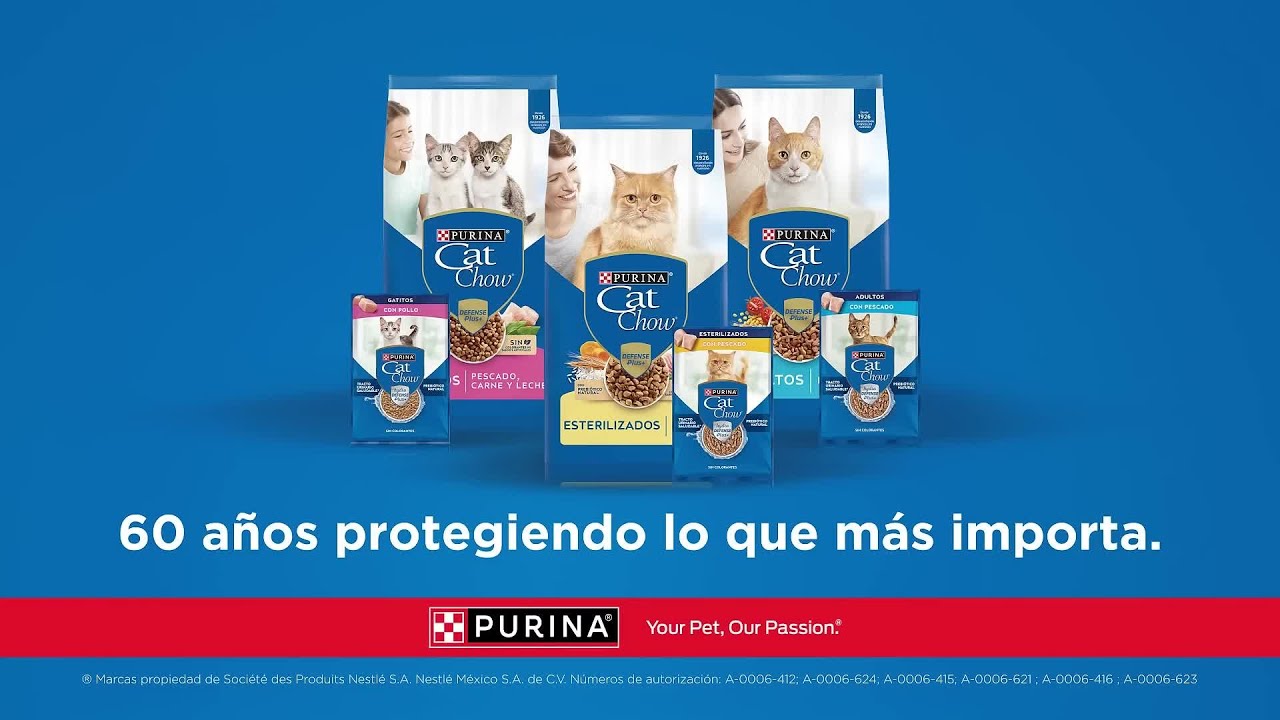 CatChowMexico - Protege y cuida a tu gato con la deliciosa nutrición de ...