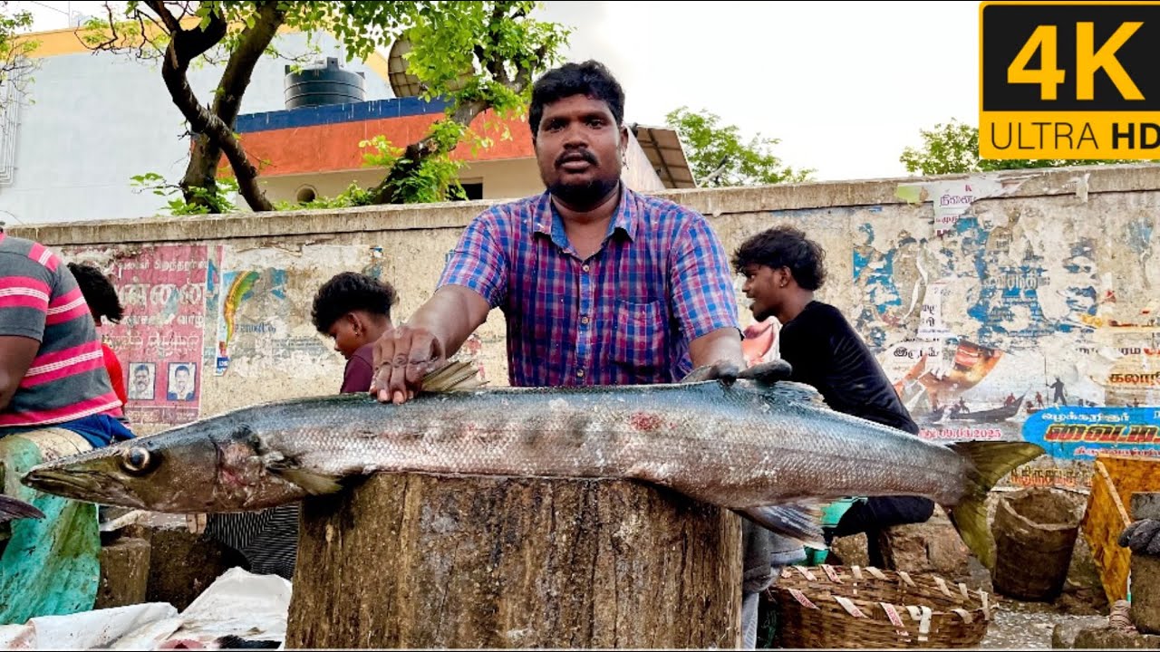 Sila fish cutting video/fishcuttingrs#fish #fishcuttingrs #kasimedu ...