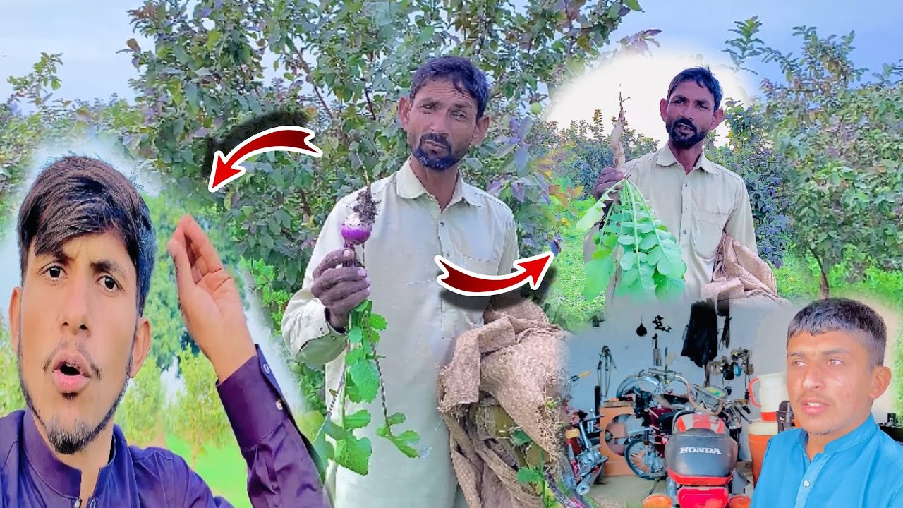Apni Duniya 😍😍funny Vlog video comedy Vlog video😂😂 - YouTube
