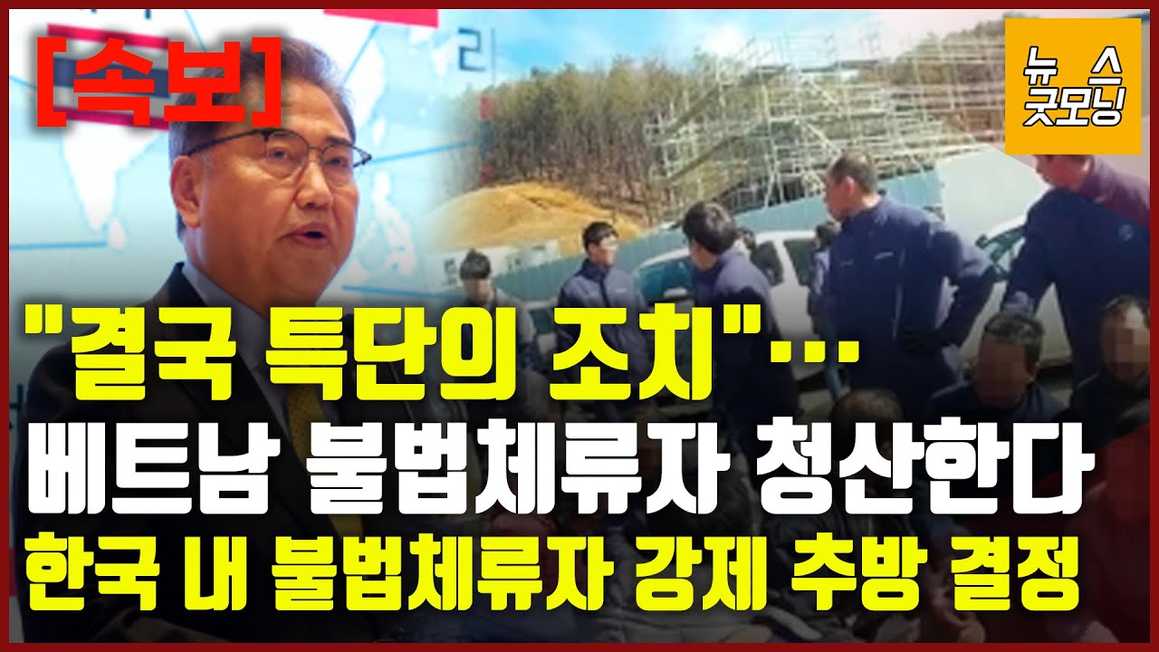 결국 특단의 조치··· 베트남 불법체류자 청산한다 전원 강제 추방 결정 Youtube