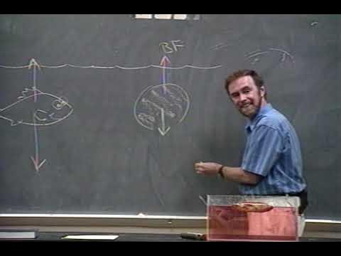 19 -- Liquids II -- Sweet Conceptual Physics By Paul Hewitt - YouTube