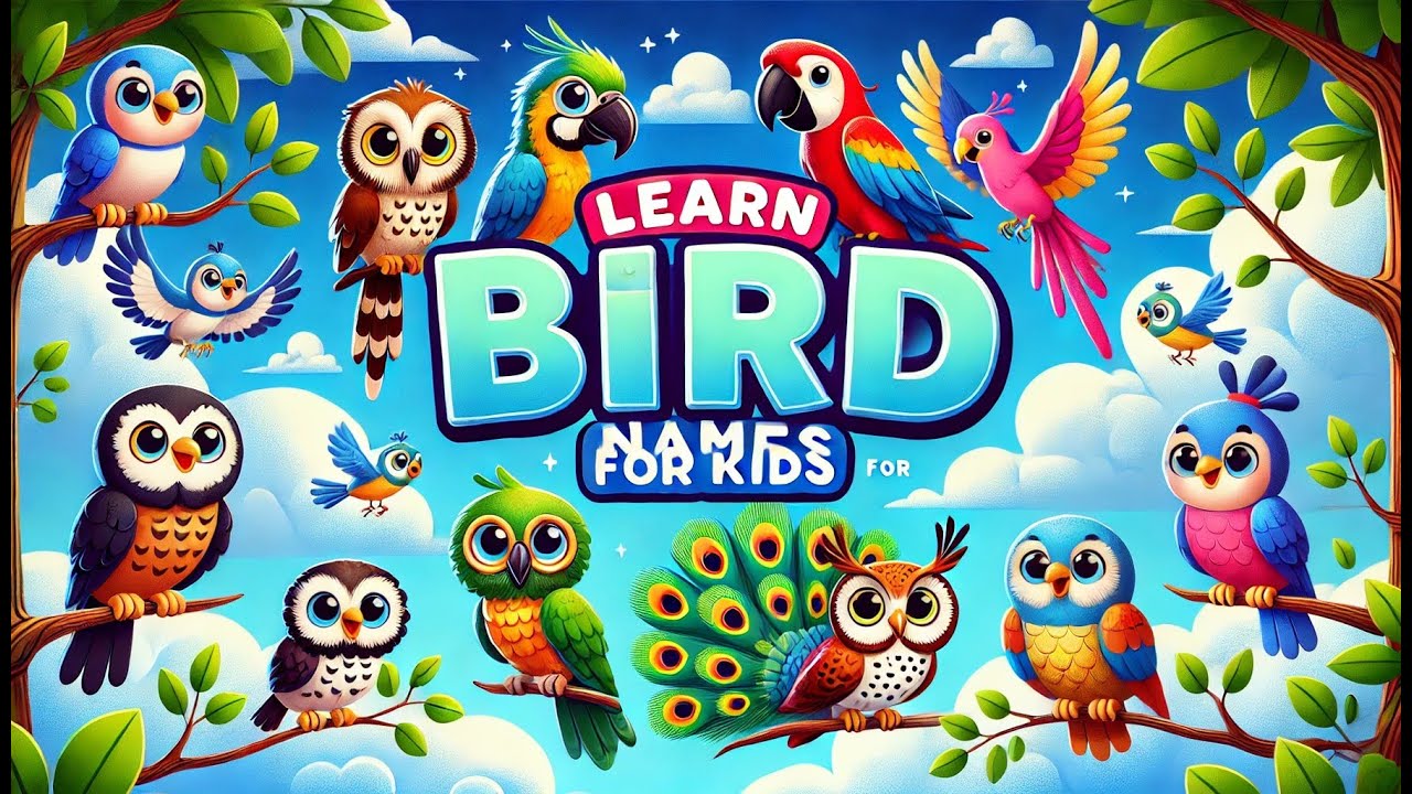 Name of Birds for Kids | Learn Bird Names with Sounds & Pictures ...