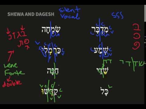 Rules of Dagesh - Nutshell Biblical Hebrew