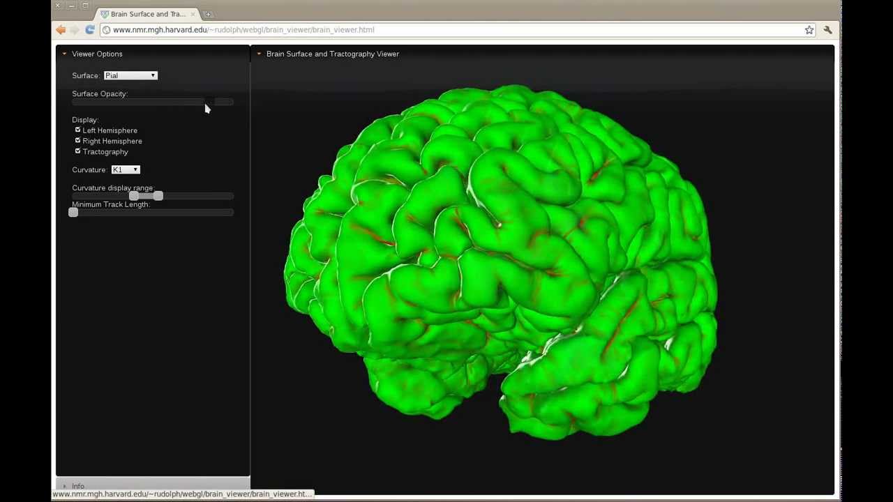 WebGL Brain Surface and Tractography Viewer Prototype - YouTube