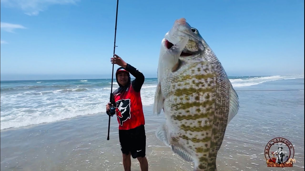 Excelente pesca en la playa “El Pabellón” en San Quintín Baja ...