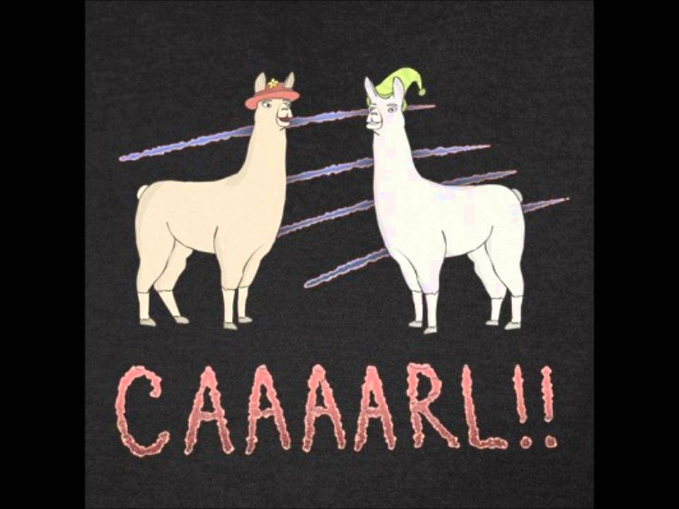 Laboratorio con la llama Carl - YouTube