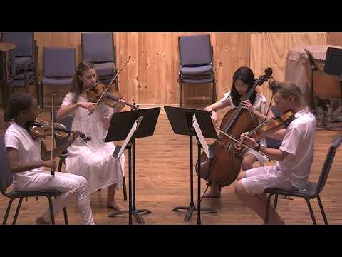 Joseph Haydn • String Quartet in D minor, Op. 76, No. 2 “Quinten” (1797): I. Allegro - YouTube
