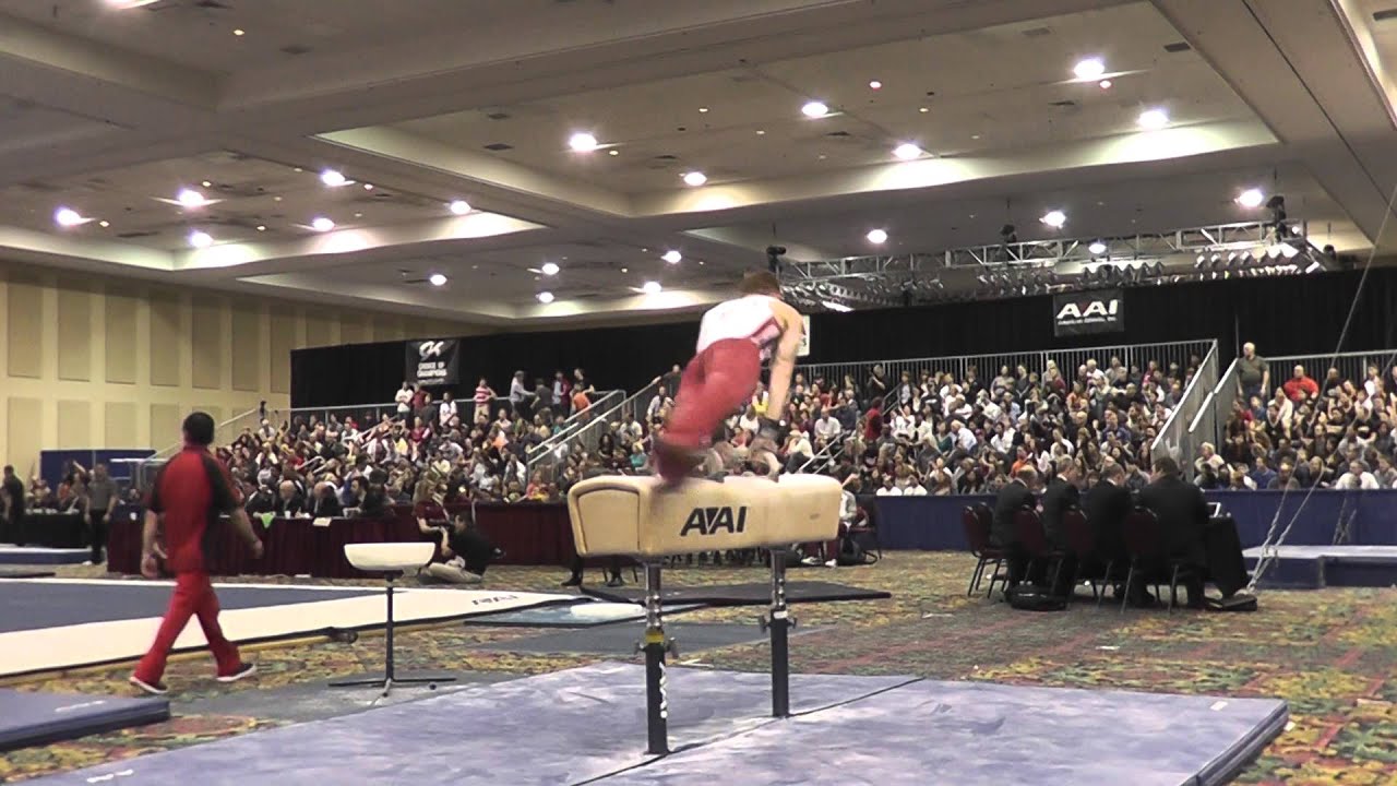 Allan Bower - Pommel Horse - 2015 Winter Cup Finals - YouTube