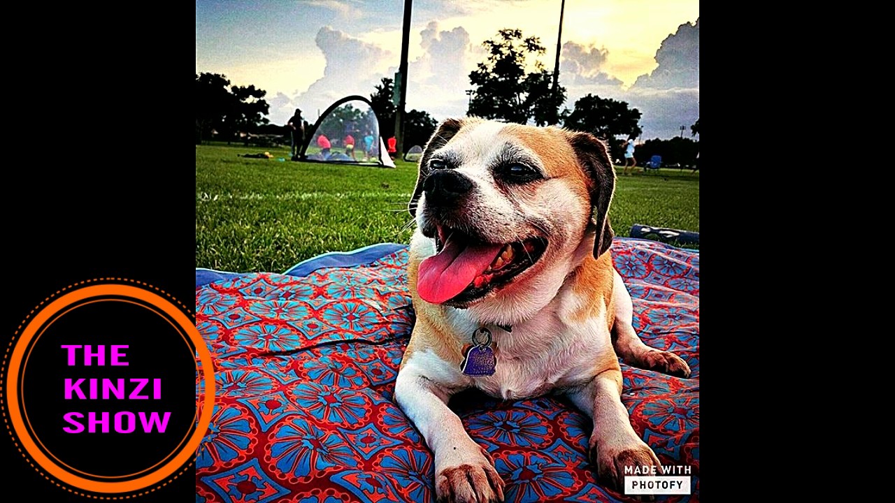 Kinzi the Talking Dog Teaches Kids How to NOT Get Others Sick - YouTube