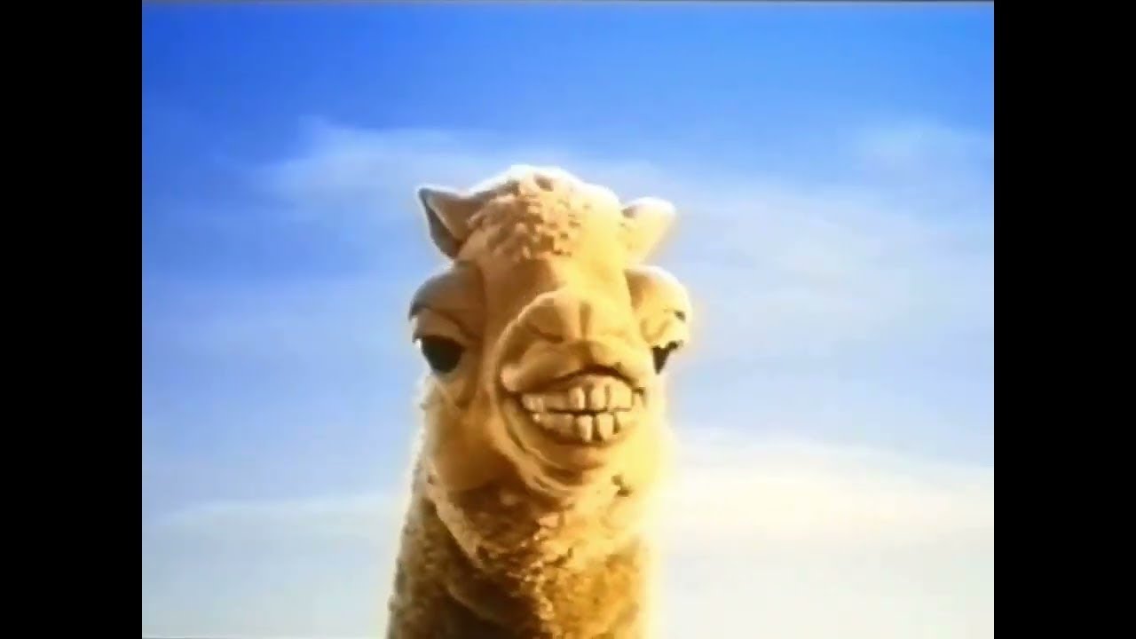 Camel laughing at Sphinx (1 hour) - YouTube