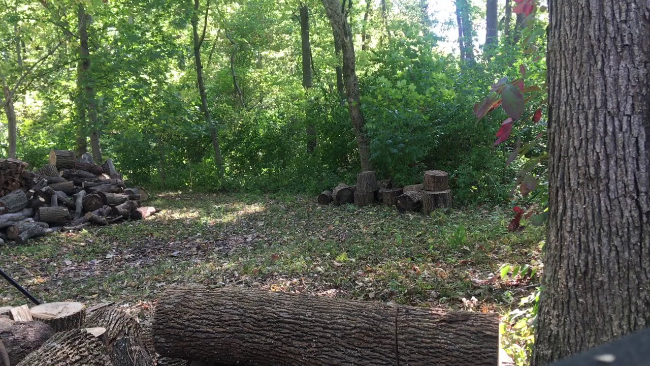 Poulan Pro 330 - YouTube