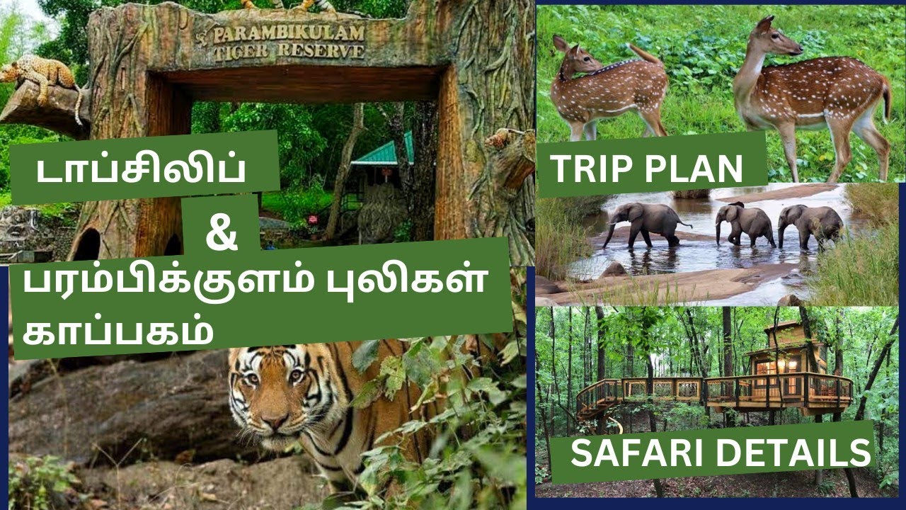 Topslip Tourist Places Tamil | Parambikulam Tiger Reserve Tamil ...