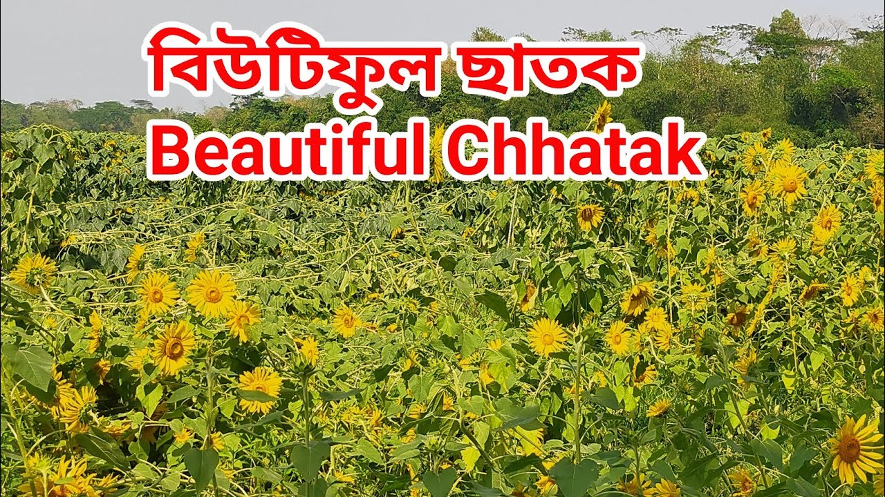 বিউটিফুল ছাতক | Beautiful Chhatak | Chhatak Sunamganj Sylhet Bangladesh ...