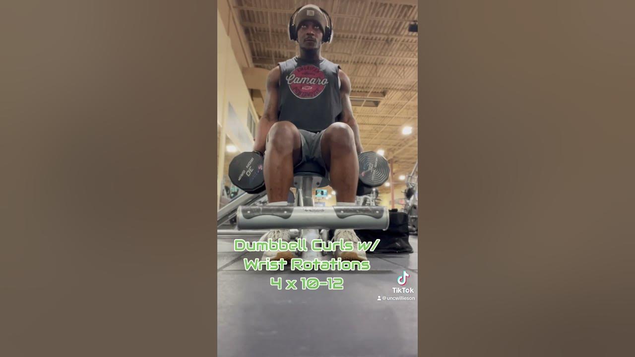 Upper Back Biceps Workout Youtube