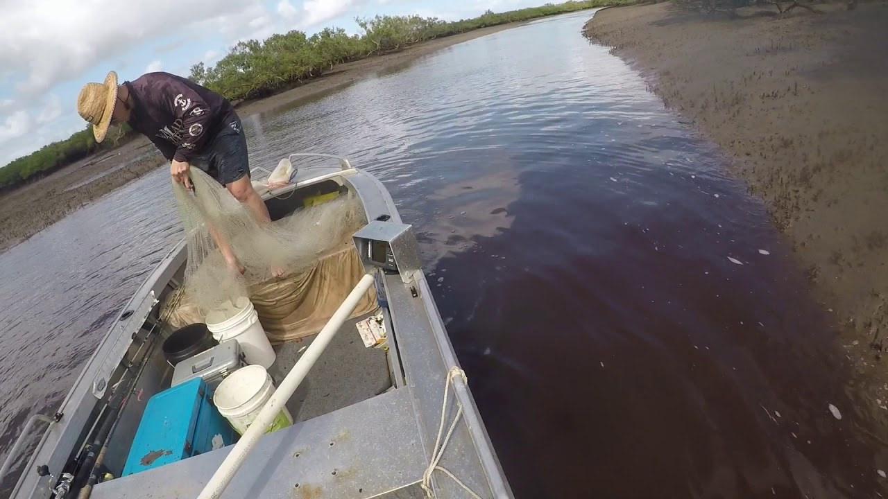 prawning 8 4 18 - YouTube