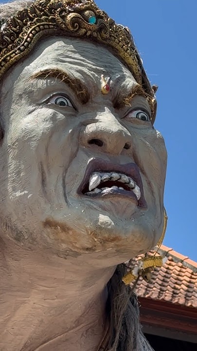 ⚡️Дневная пок🐈тушка, Бали #лонг #боард #доска #скейт #bali #longboard # ...