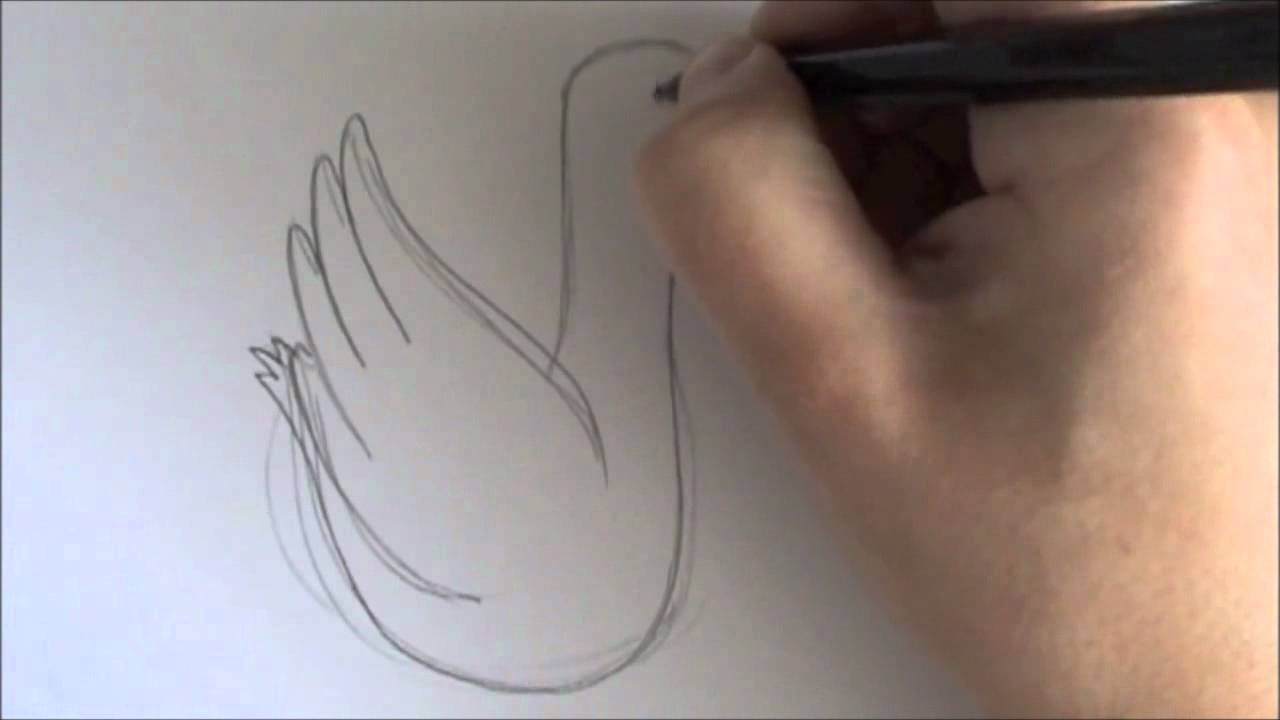 Gilbert and Mud - How to Draw - Mud - YouTube