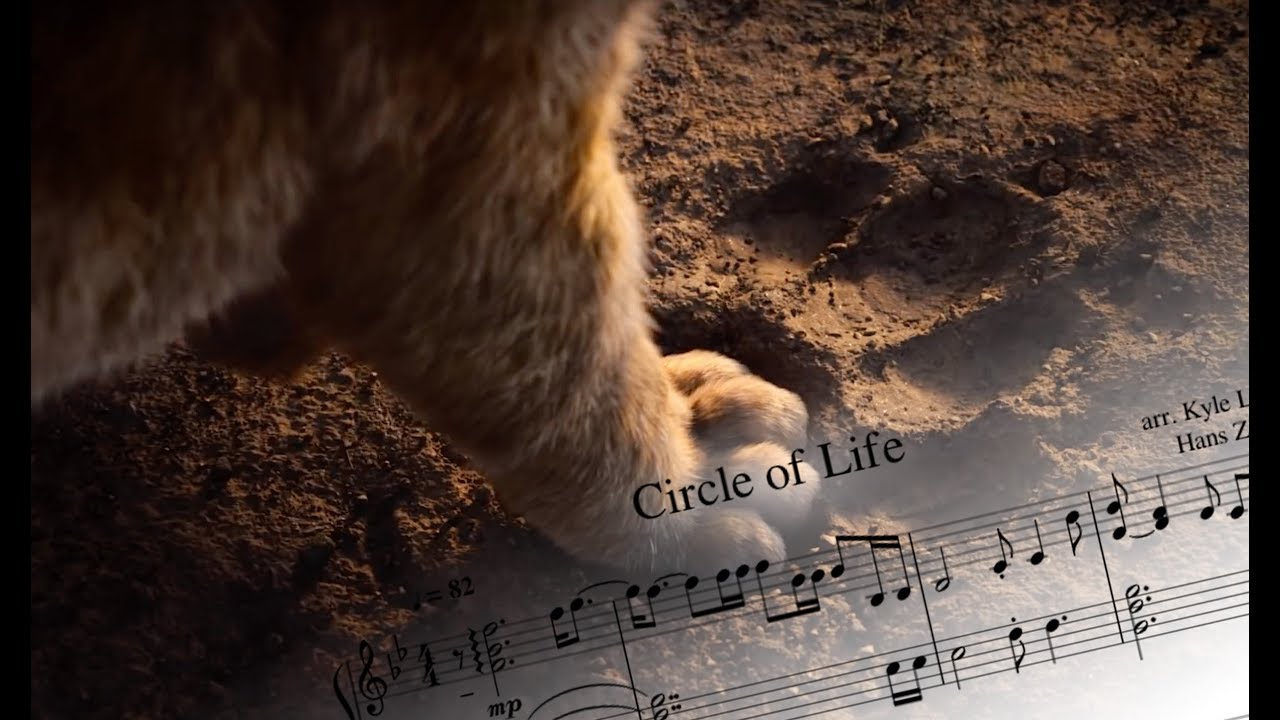 this circle of life cover will leave you in tears - YouTube