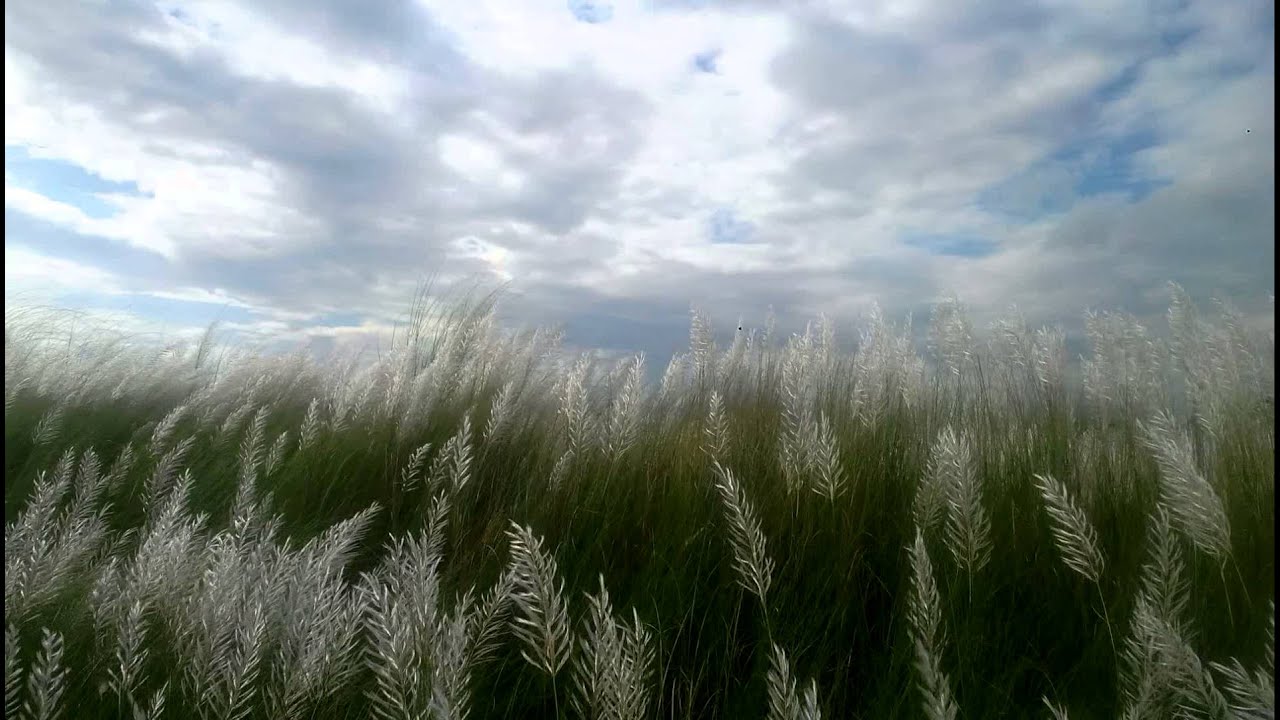 Kash bon... - YouTube