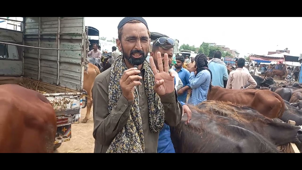 KATTAY&WASHAY FOR FARMING||GUJRANWALA MANDI - YouTube