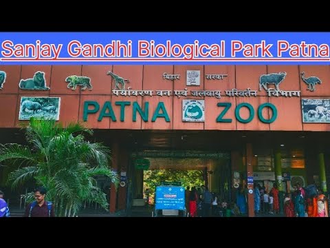 Patna Zoo | पटना चिड़ियाघर | Sanjay Gandhi Biological Park | Patna Zoo ...