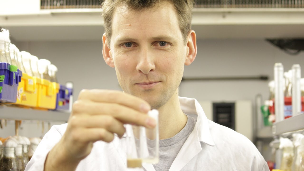 Healthy ageing - Dr Matt Piper | The Royal Society - YouTube