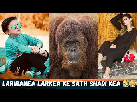 Lariba ne larkea se shadi kea 🤣 same same system kisea touch hoga 😛😛😂