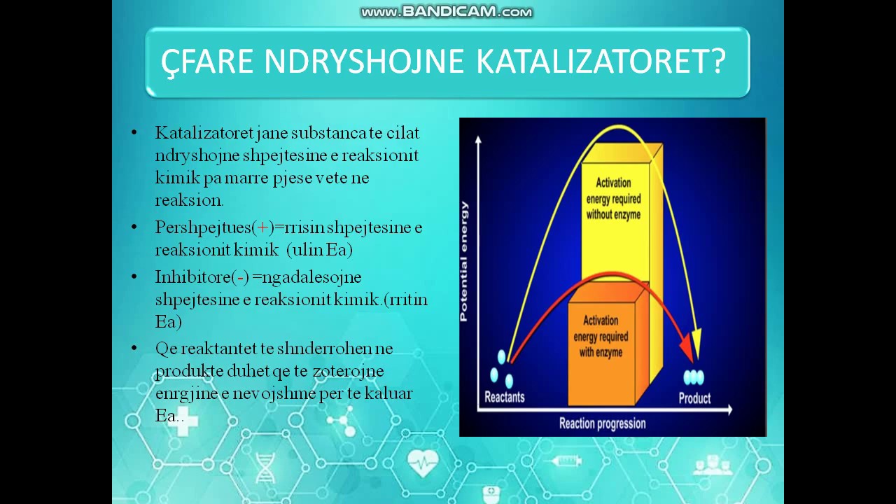 KIMI 9- Katalizatorët #Kimi #Biologji #Shqiperi #Albania - YouTube