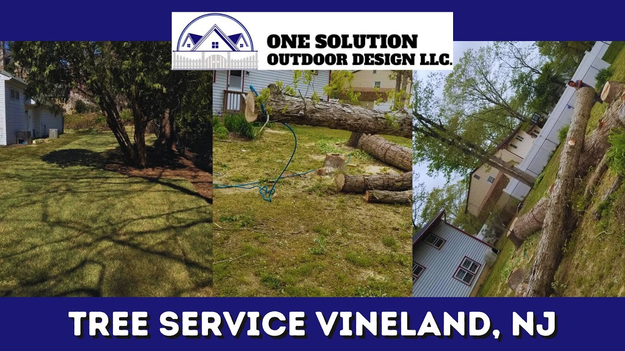 Tree Service Vineland, NJ | One Solution Outdoor Design - YouTube