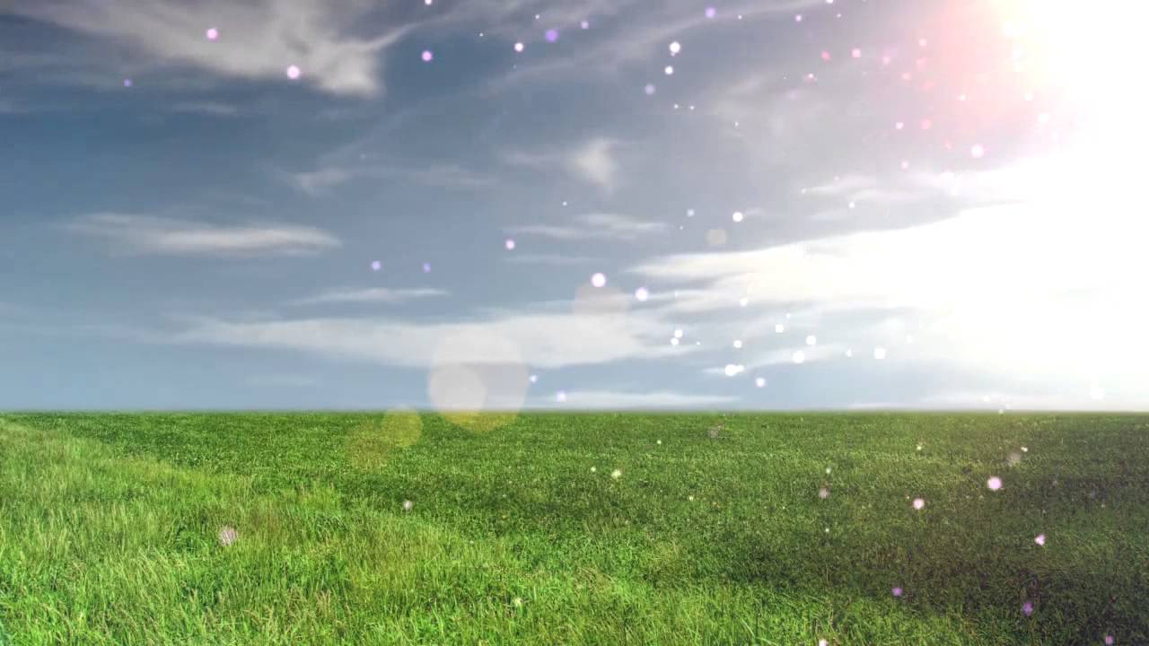 Proshow Background Video 100 - YouTube