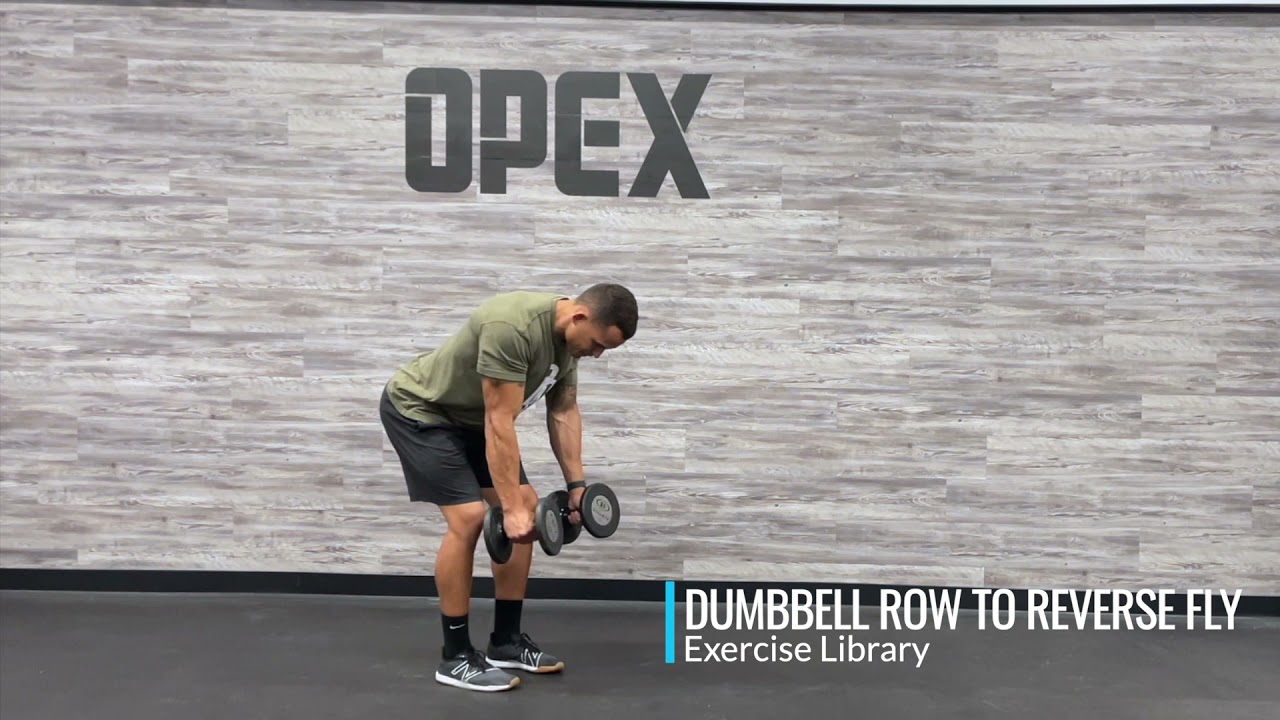 Dumbbell Row To Reverse Fly - YouTube