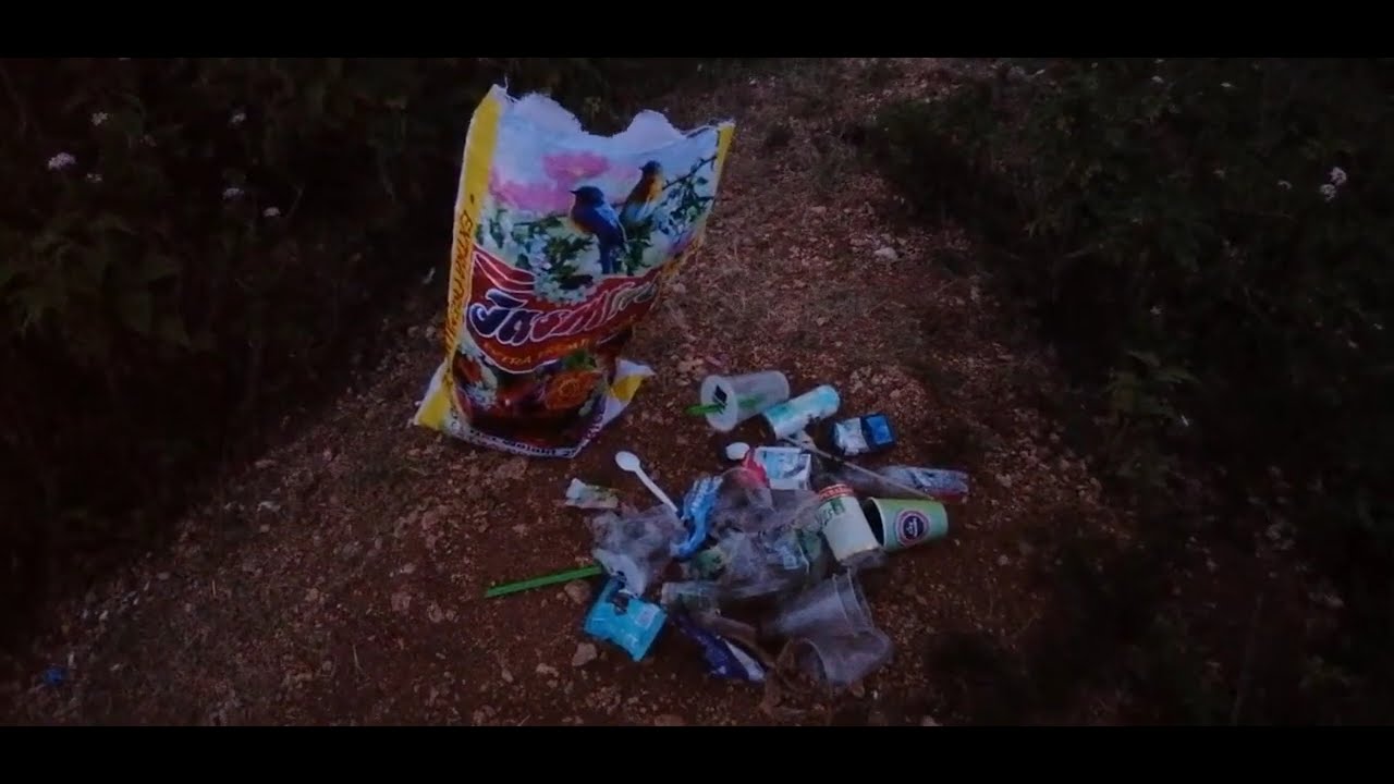 Tuesday Trash Day Five - YouTube