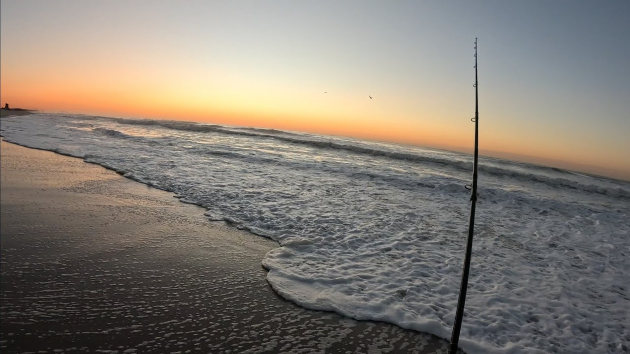 Fall Run 2024 Continues - YouTube