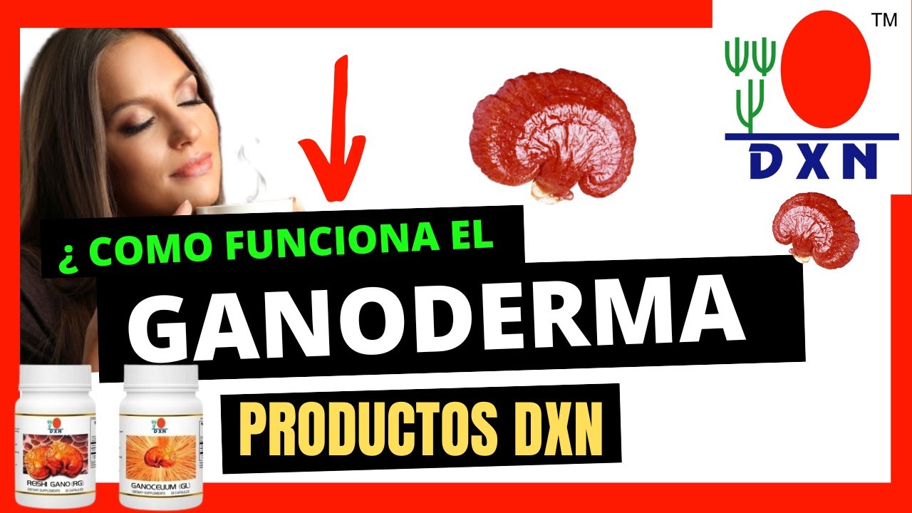 GANODERMA LUCIDUM🍄 DXN - Historia | Beneficios y para que sirve | 2022 ...