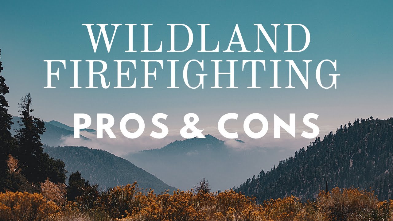 Wildland Firefighting Pros and Cons, is it the Right Fit for You ...