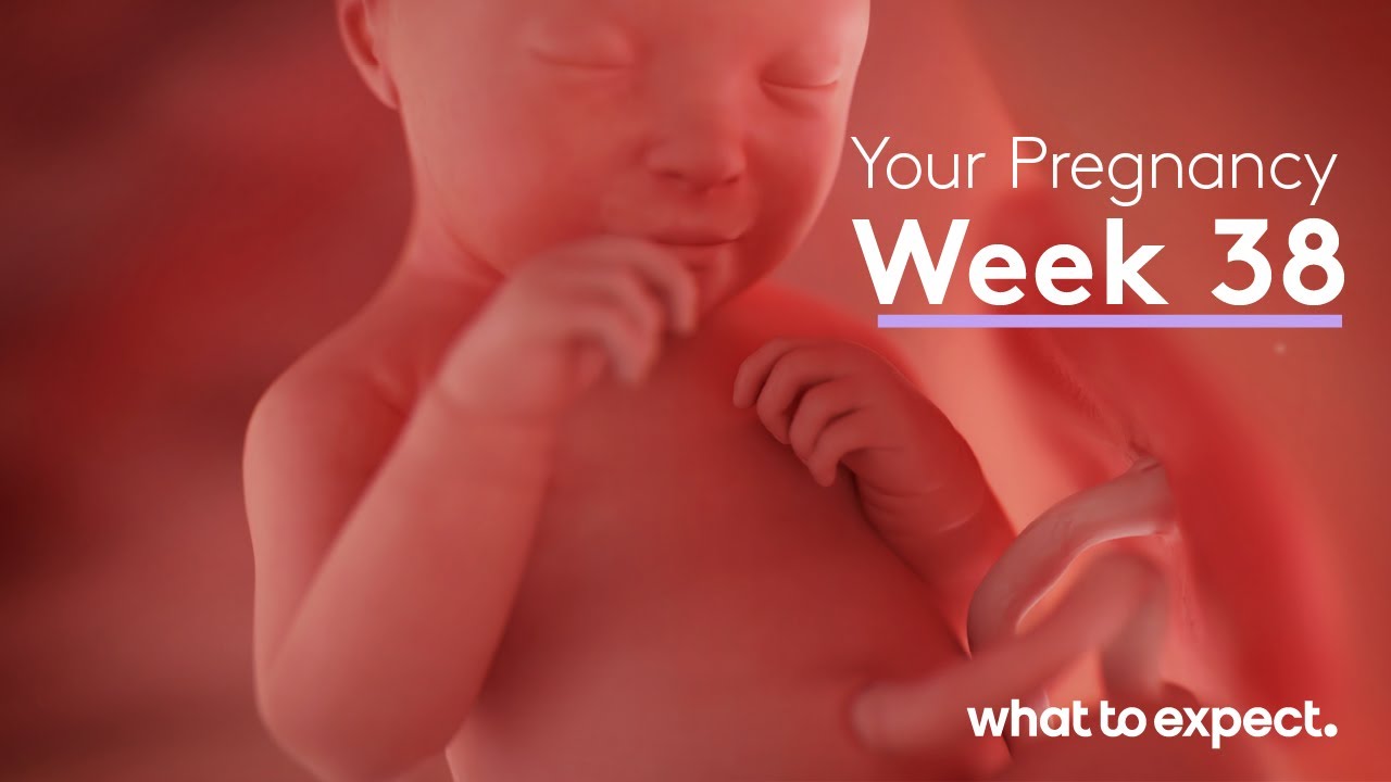 38 Weeks Pregnant What To Expect YouTube