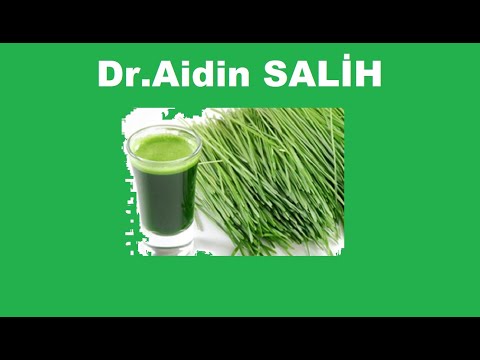 Dr.Aidin SALİH ''Buğday Çimlendirme, Buğday Suyunun Faydaları, Sümelek Yapımı''